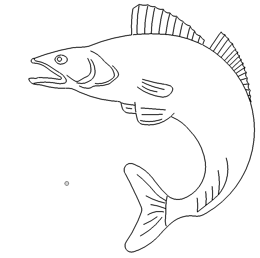 Fisch Zander - Fish Walleye dxf dwg Vorlagen Downloads kostenlos