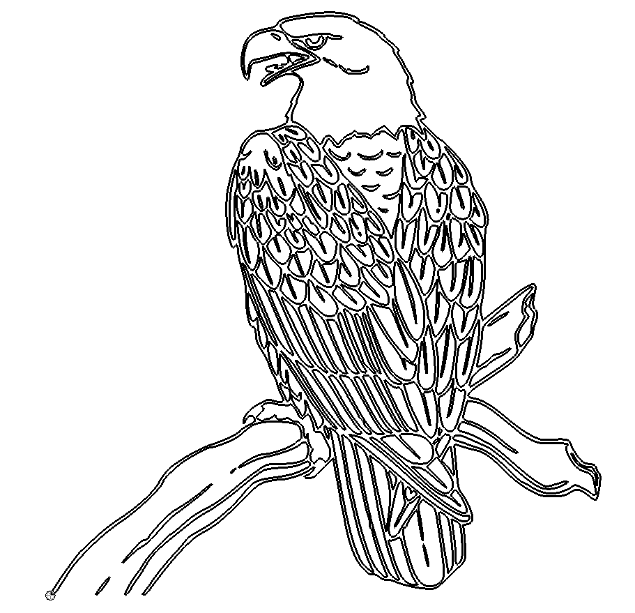 Adler - eagle – DXF/DWG Datei kostenlos herunterladen | DXF Downloads
